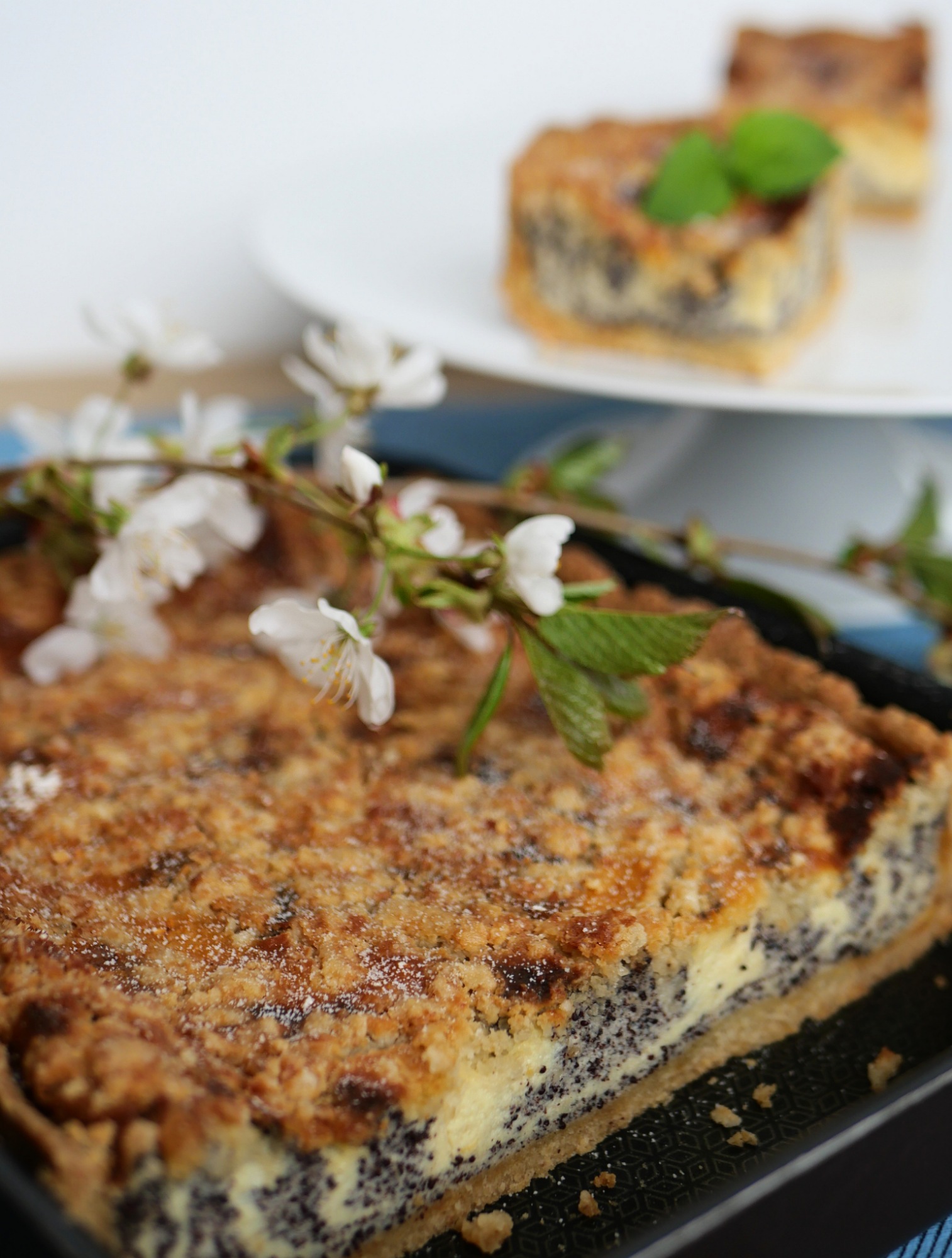 Marbled Poppy Seed Crumb Cake – Bara's Baking